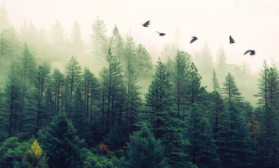 Movement of Discipleship Key 7: Serve Together – AGTimes